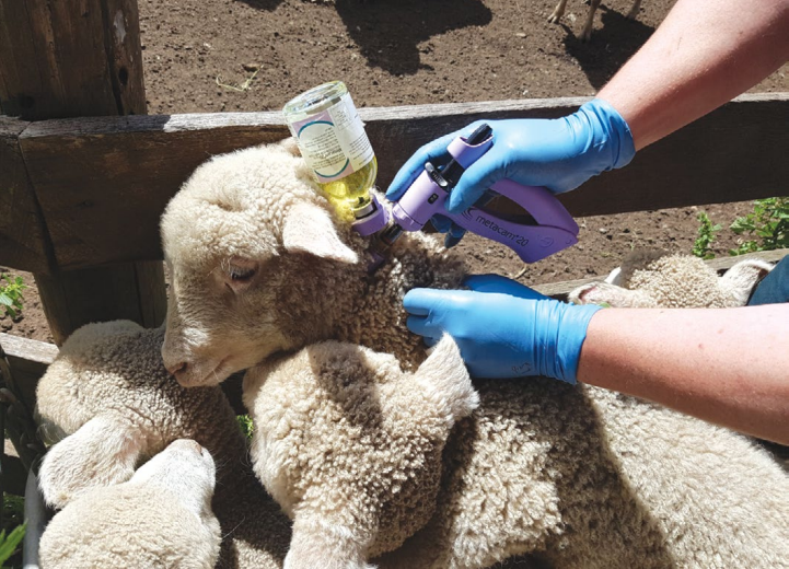 Resources and Factsheets - Stock Sense