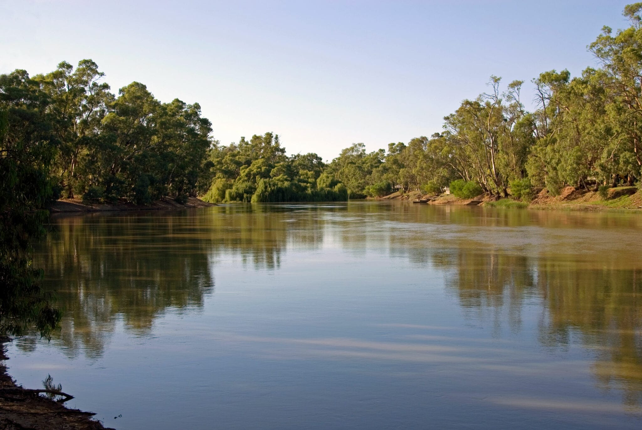 Murray Darling Basin Plan and Victorian Agriculture | VFF