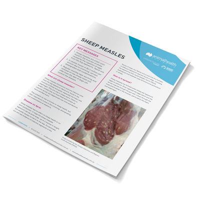 Stock Sense - Victorian Farmers Federation