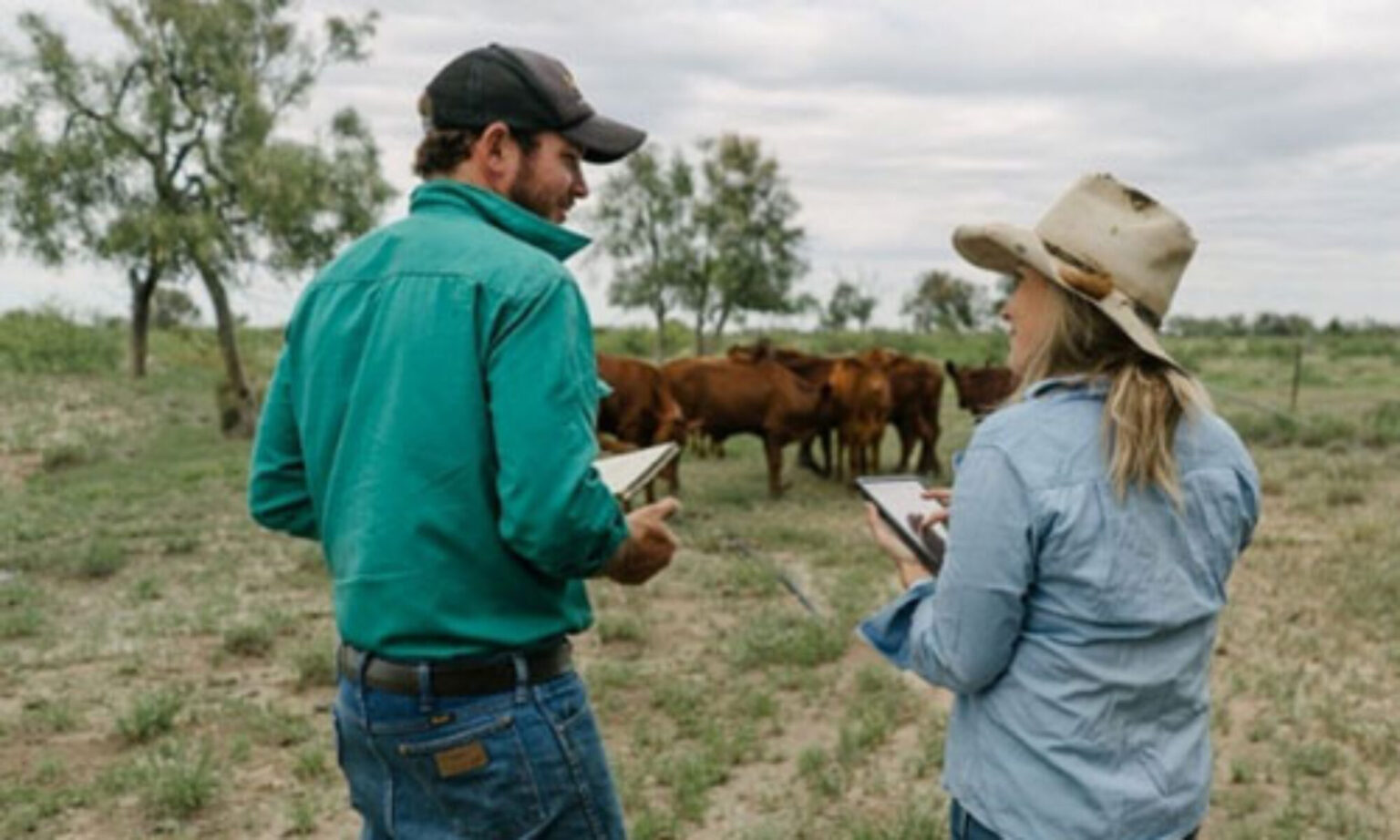 VFF launches General Policy Platform - Victorian Farmers Federation