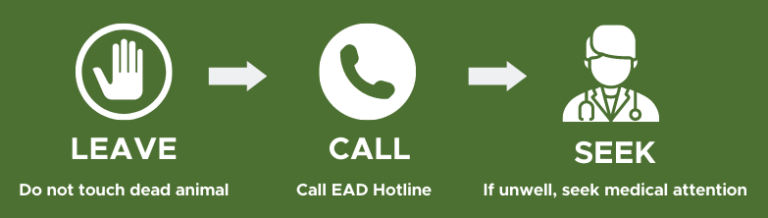 Anthrax - Stock Sense Factsheets