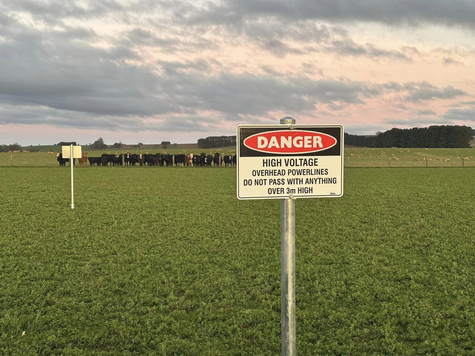 VFF condemns AusNet’s incursion onto farm properties - Victorian ...