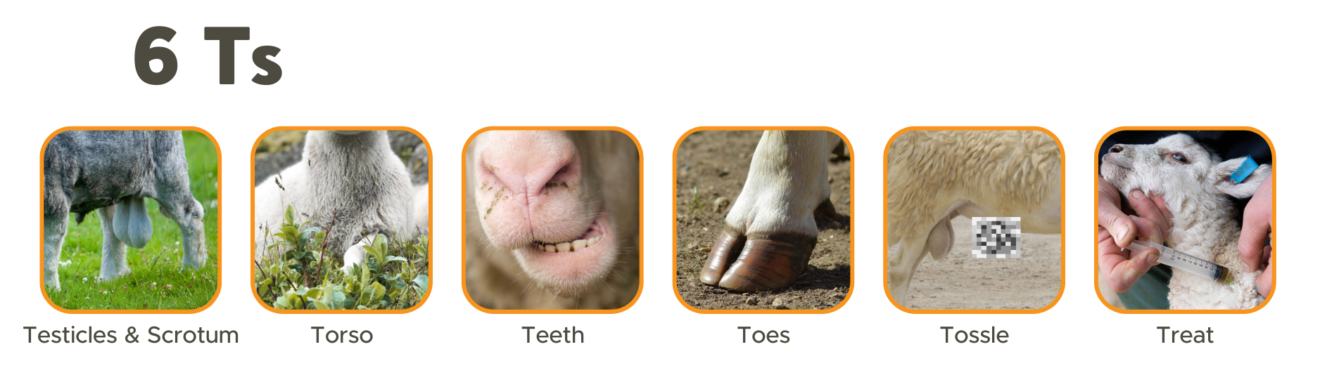 Joining - Stock Sense Factsheets