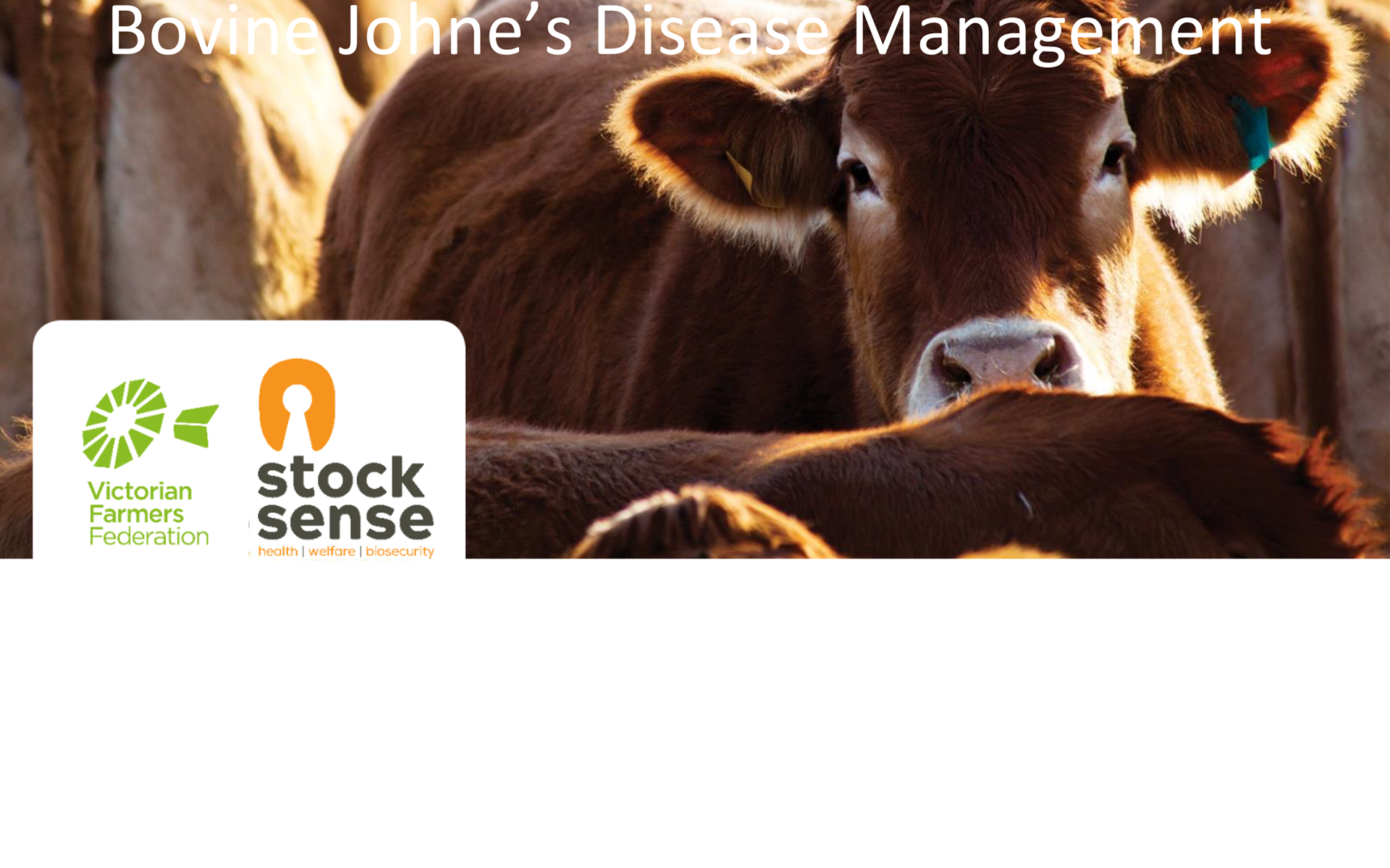 FACT SHEET BSE (MAD COW DISEASE) - Victorian Farmers Federation