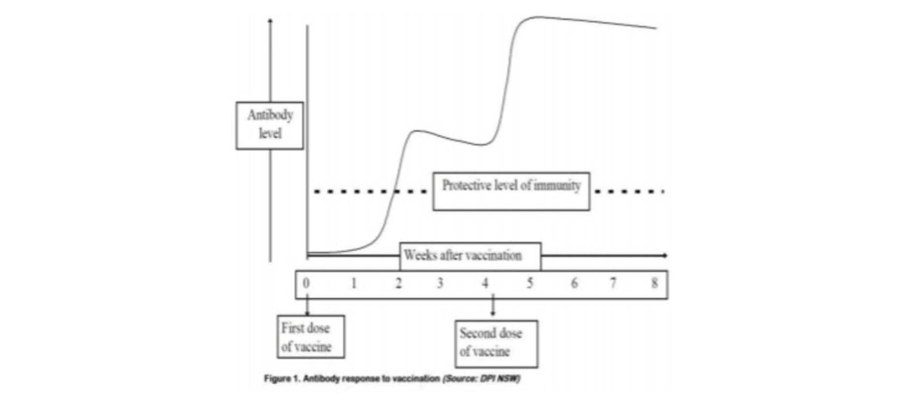 Cattle Vaccines - Victorian Farmers Federation