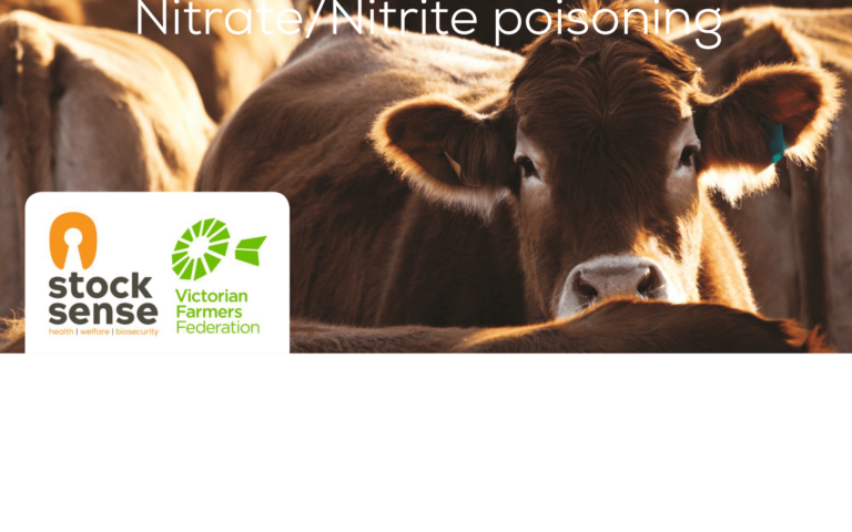 FACT SHEET NITRATE NITRITE POISONING - Victorian Farmers Federation