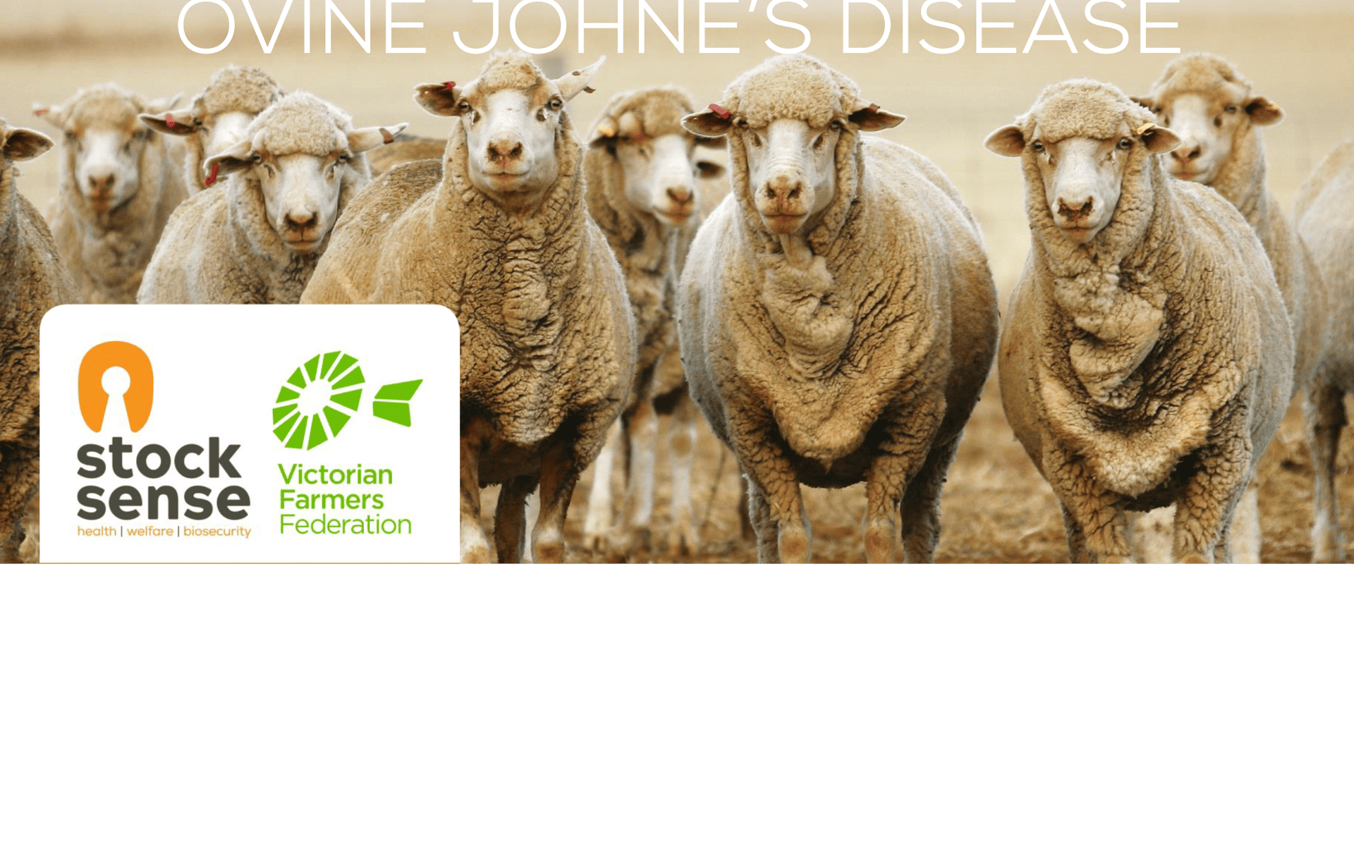 FACT SHEET OVINE JOHNE'S DISEASE - Victorian Farmers Federation