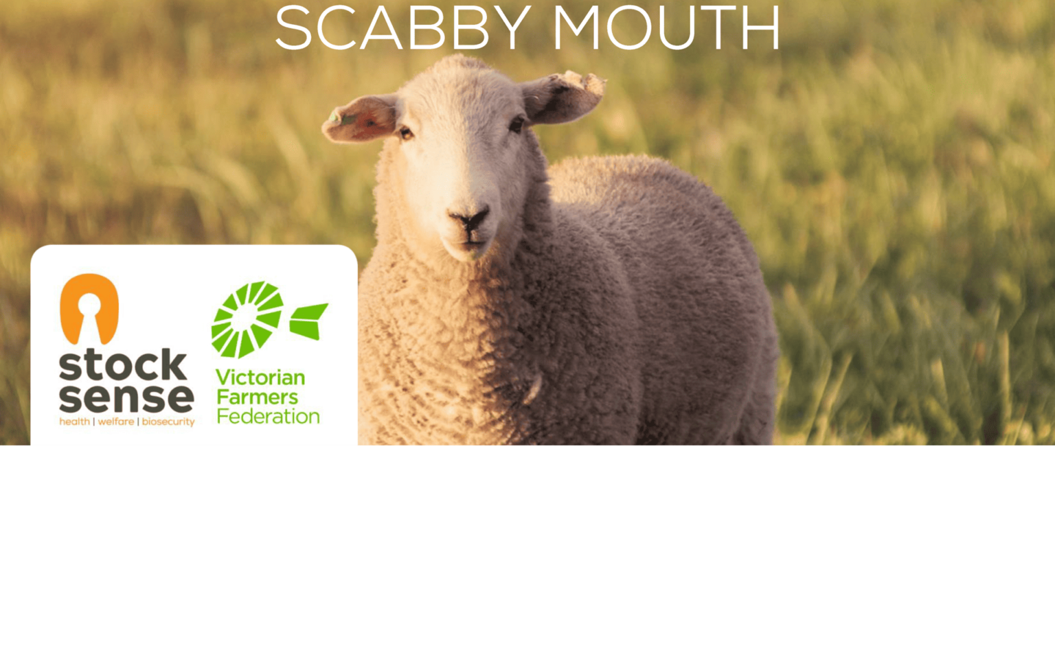 FACT SHEET SCABBY MOUTH - Victorian Farmers Federation