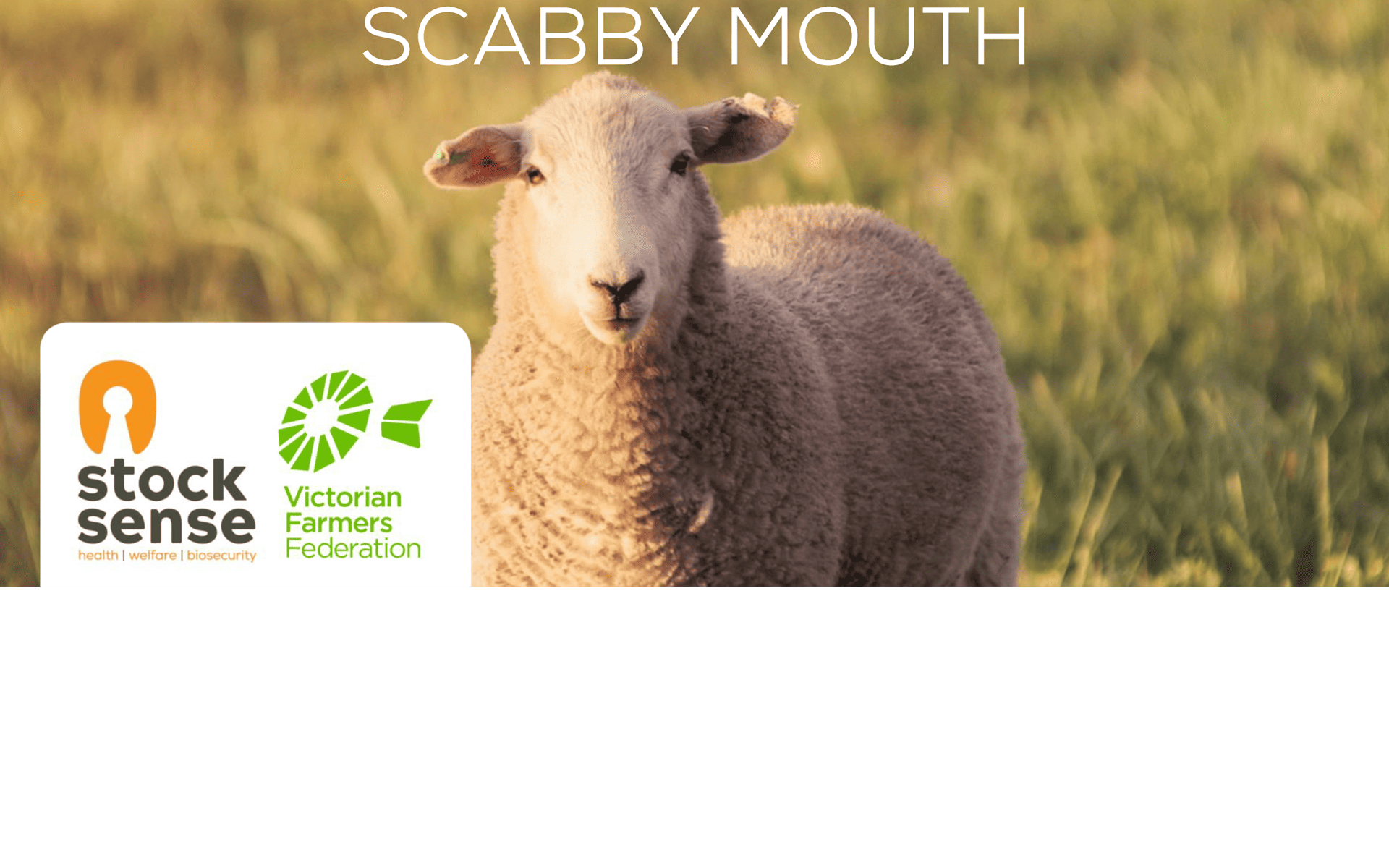 FACT SHEET SCABBY MOUTH - Victorian Farmers Federation