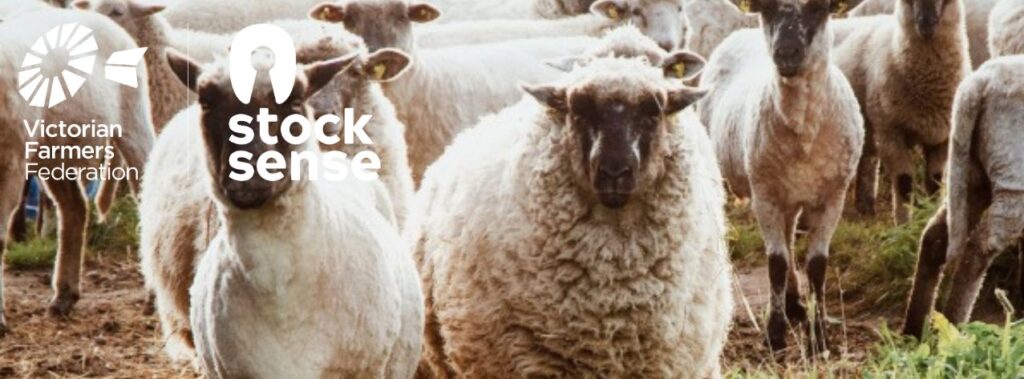 Ovine Johne's Disease - Victorian Farmers Federation