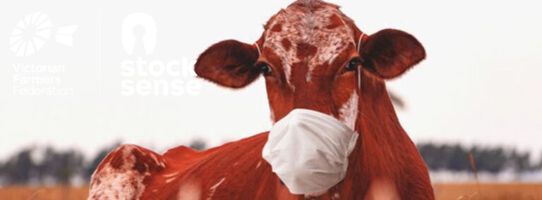 Cattle Vaccines - Victorian Farmers Federation
