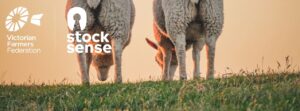 General Sheep Vaccines - Victorian Farmers Federation